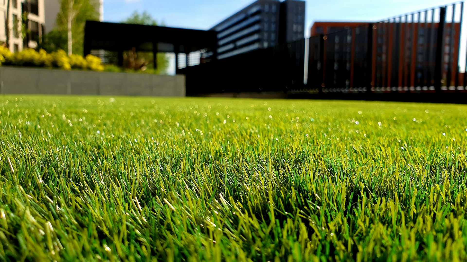 AP Mazzilli Landscaping | Westfield NJ's Premier Landscape Company